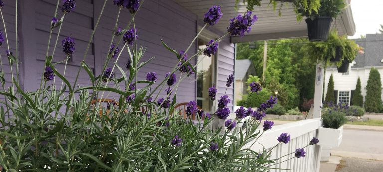 Visit Us - Lavender Porch - Bobcaygeon Bakery